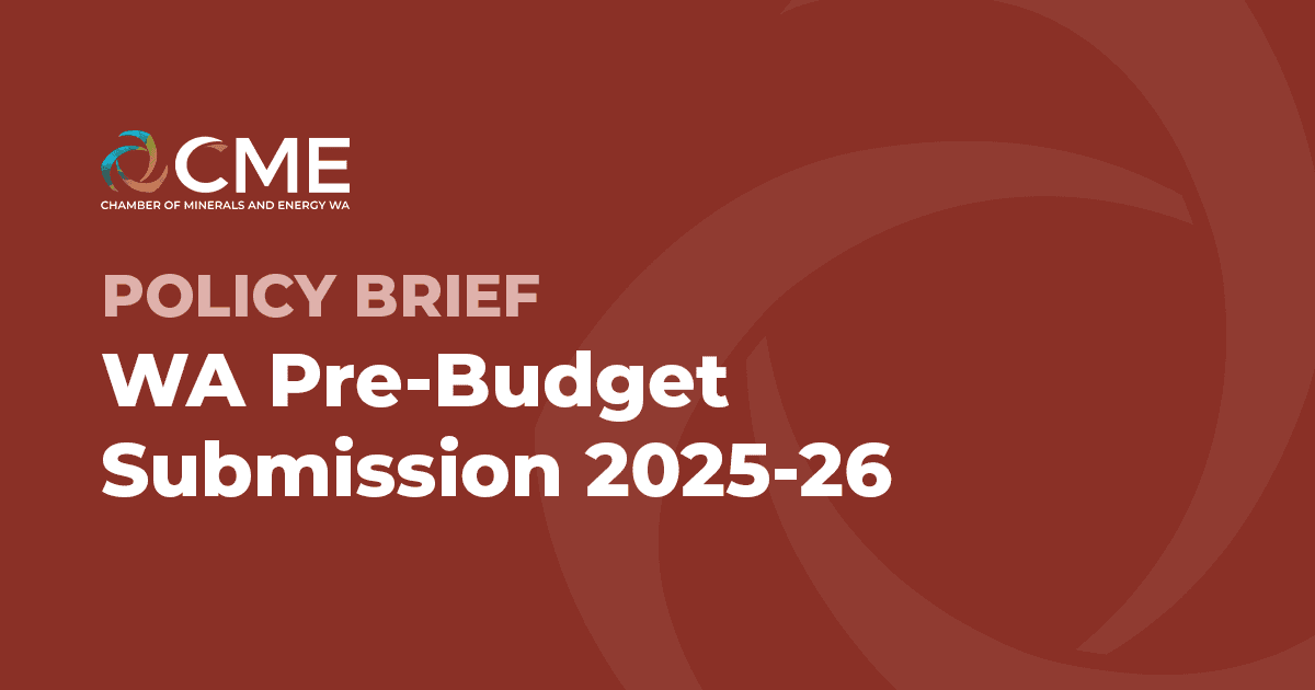 WA Pre-Budget Submission 2025-26 - Policy Brief - CMEWA