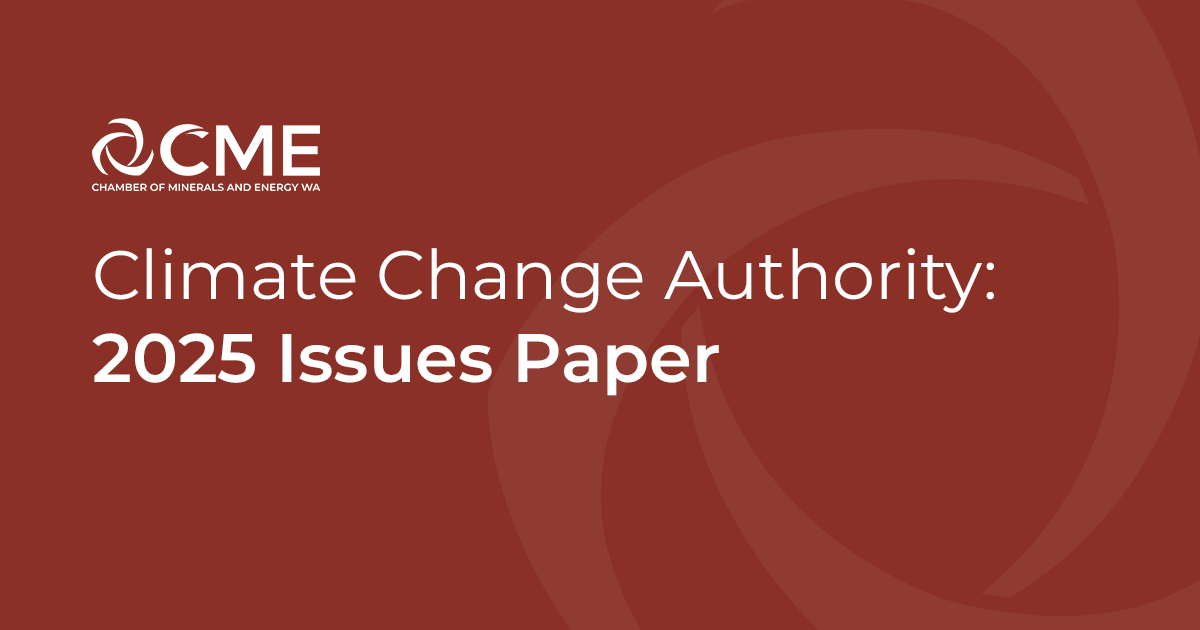 Climate Change Authority: 2025 Issues Paper - CMEWA