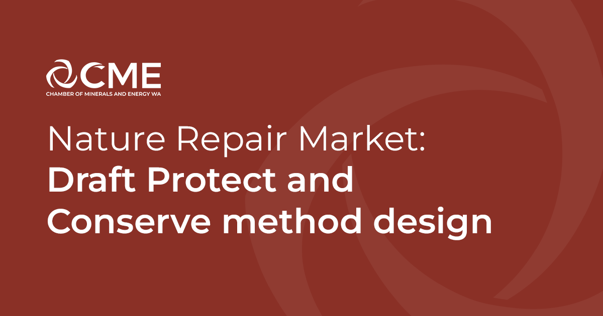 Nature Repair Market: Draft Protect and Conserve method design - CMEWA